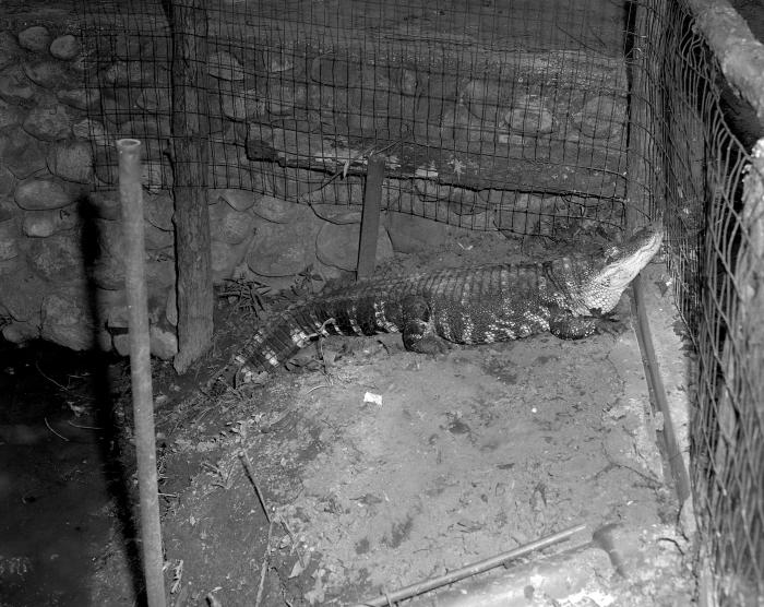 Grand Rapids Public Library